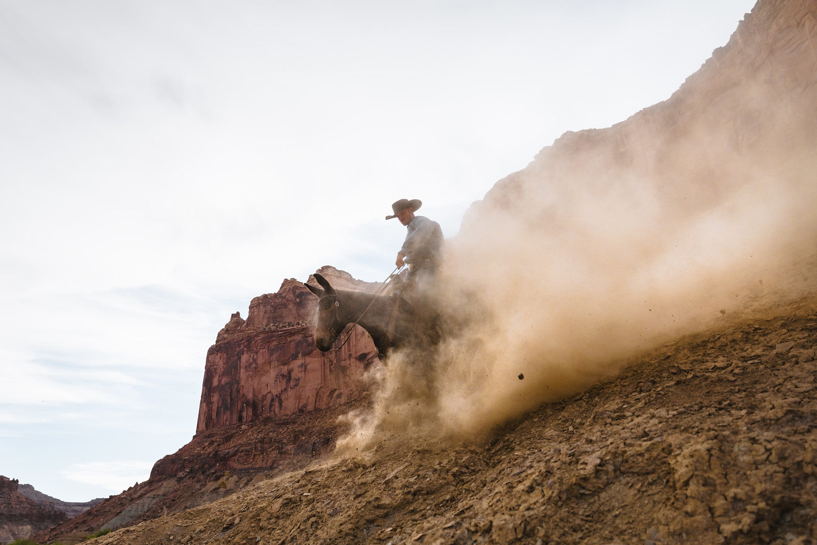 Broncs & Donks – Broncs and Donks