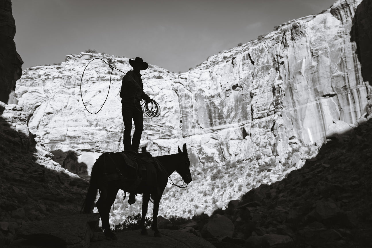 Broncs & Donks – Broncs and Donks