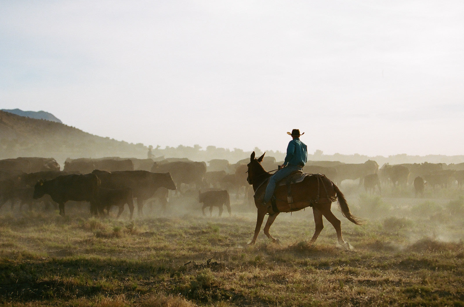 Broncs & Donks – Broncs and Donks